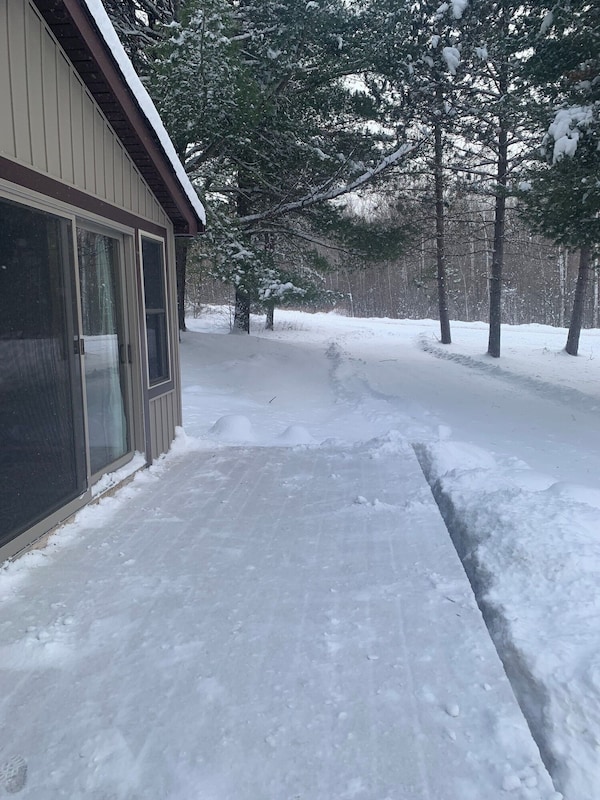 Come Take A Walk In Our Woods...... - Grayling, MI