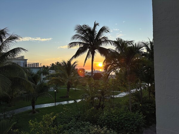 Palm Tree Cove - Stunning Partial Ocean Views; Beachfront Location! - Freeport