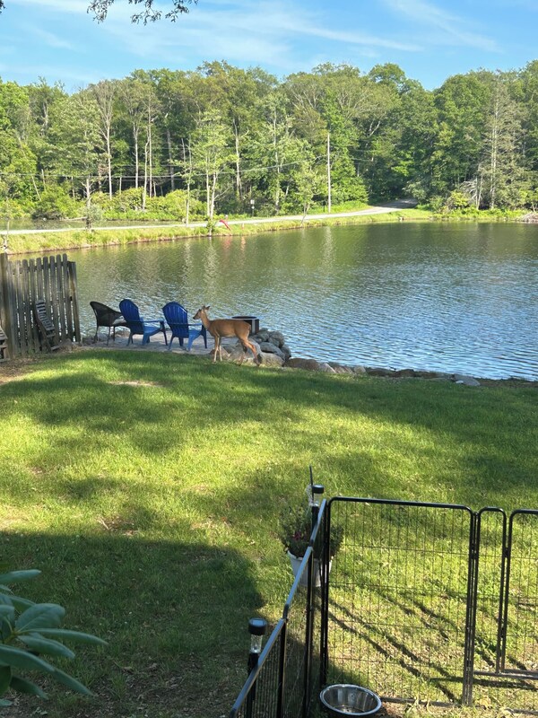 Take A Break And Unwind At This Peaceful Lakefront Oasis. - Stokes State Forest, Sandyston