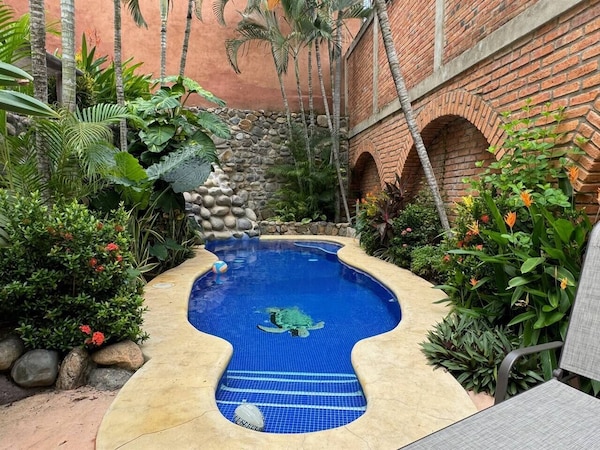 Regio - Casa Mojo's Spacious 2br, Kitchen, Pool - Sayulita
