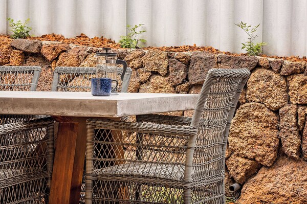 Alley Cats | Margaret River - Margaret River