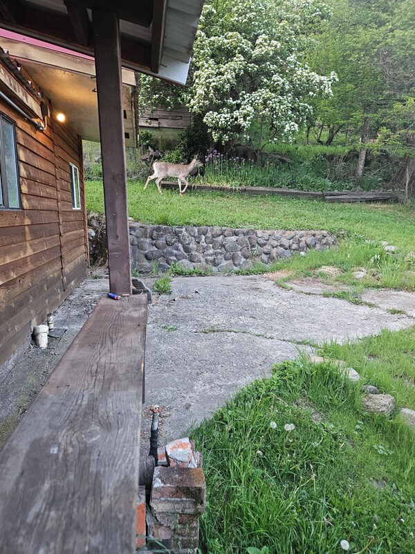Orofino Boho Cabin In Town, Close To Everything. 1 Mile From Clearwater River. - Orofino, ID