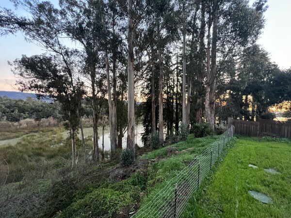 Hidden Lake Cottage With Hot Tub & Views! 20 Mins To Beach - California