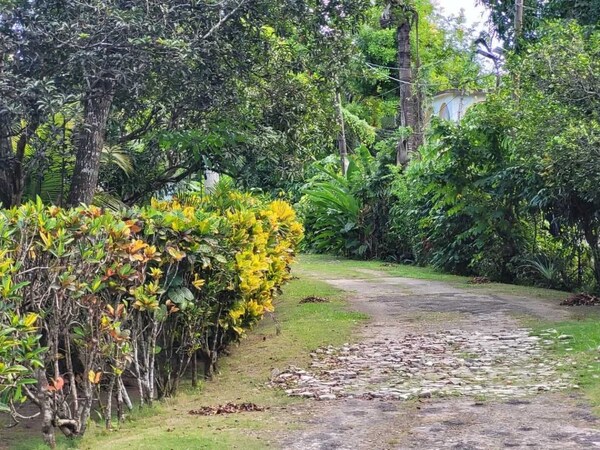 Marvelous 1-bedroom Apartment In Negril With Wifi Access - Negril