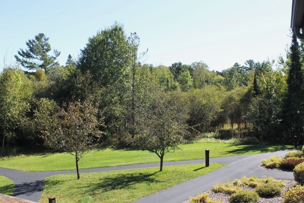 2 Bedroom Lynx Lake Condo In Eagle River Wi - Wisconsin