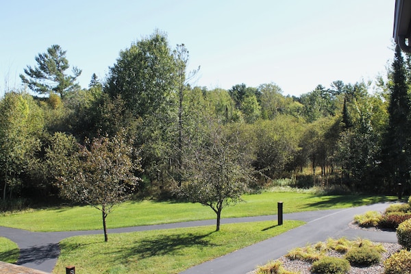 2 Bedroom Lynx Lake Condo In Eagle River Wi - Eagle River, WI