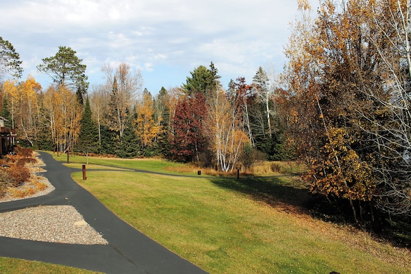 2 Bedroom Lynx Lake Condo In Eagle River Wi - Eagle River, WI