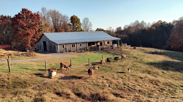 Rustic Cabin On Homestead Farm - Pilot Mountain, NC