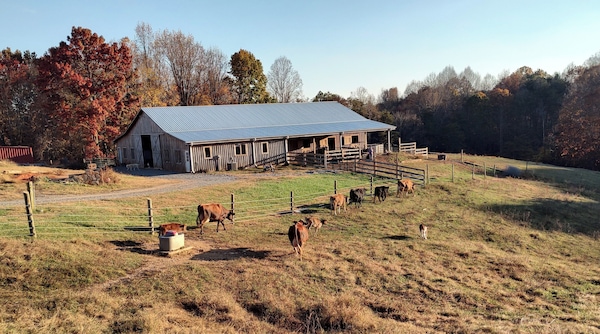 Rustic Cabin On Homestead Farm - Pilot Mountain, NC