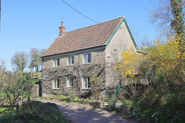 18th Century Cottage In Heart Of Dorset - Sherborne