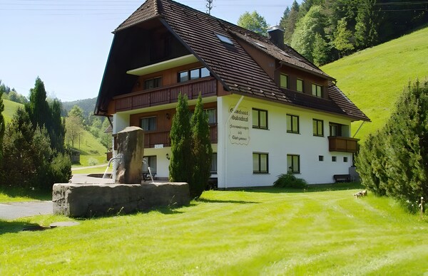 Appartement "2" Avec Vue Sur Les Montagnes, Terrasse Partagée Et Wi-fi - Baiersbronn