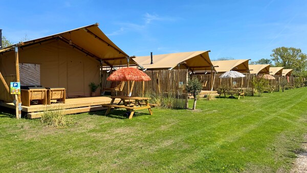 Luxurious 5-person Safari Tent - Schoorl