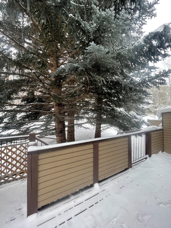 Modern Fully Renovated Ski Townhouse In West Vail - Vail, CO