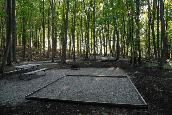 Primitive Camping Site - New Jersey