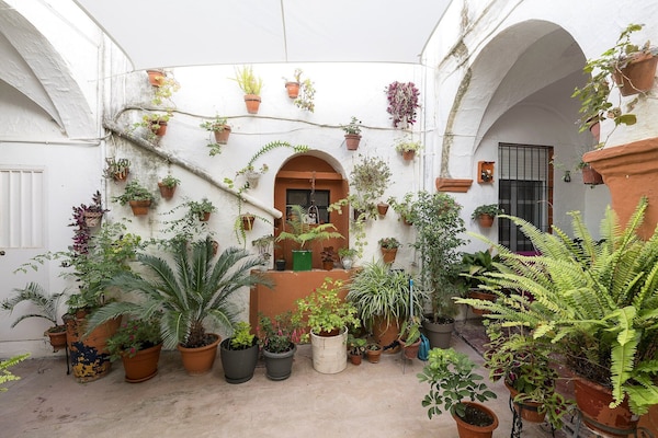 Casa Cuna - Apartment In Arcos De La Frontera - 阿爾科斯-德拉弗龍特拉