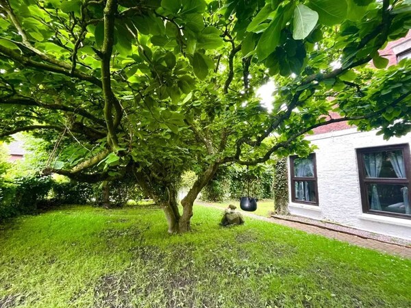 Homerez - Helle Wohnung In Emden Mit Terrasse 60 M² - Emden