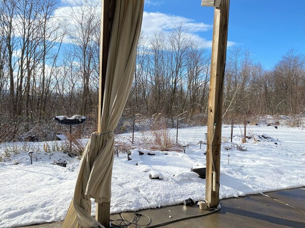 Cozy Apartment Attached To Pa Game-lands, Birdwatching Wildlife - Frances Slocum State Park, Wyoming