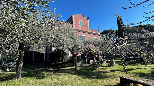 Historical Villa 'The Birdhouse' With Garden And Views - Cinque-terre