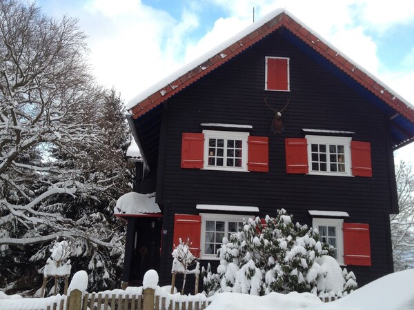 Gemütliches Ferienhaus Villa Herzog Direkt An Der Skiwiese In Braunlage - Schierke