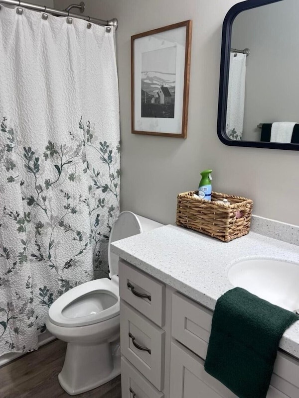 Cozy 2-bedroom Apartment Located Next To St. Mary's Hospital! - Chesapeake, OH