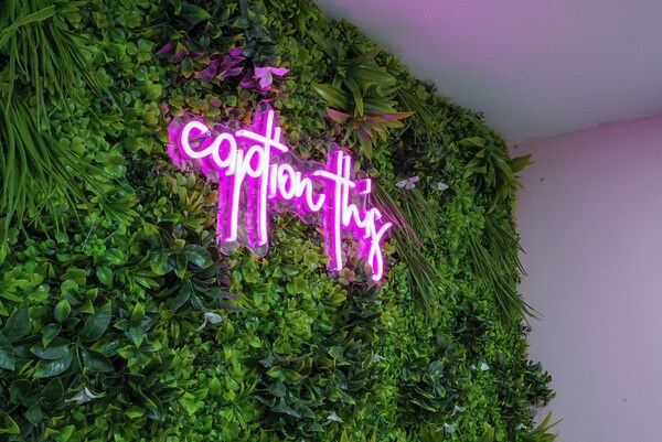 Denver Insta-perfect Girls Trip! 5br Colorful Haven 10-min To Dt Denver - Broomfield, CO