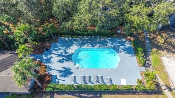 Sunnyside Oasis, Cozy & Convenient - Temple Terrace, FL