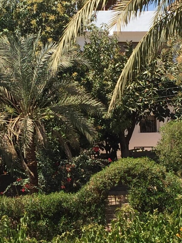 Eternal Nile Guest House - Luxor