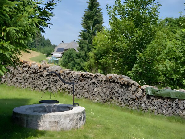 Room 'Nr 4' With Mountain View, Shared Garden And Wi-fi - Rothaus