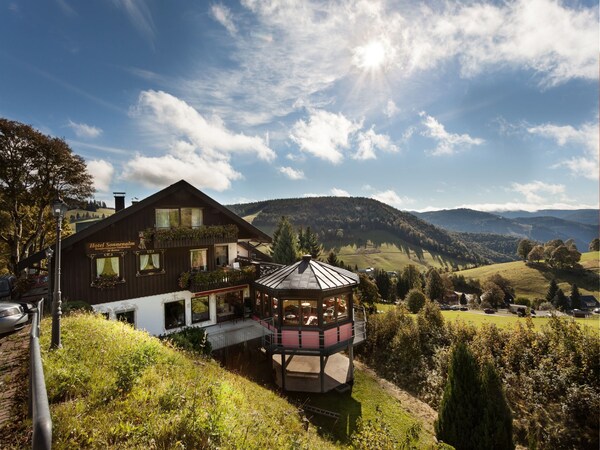 Economy Doppelzimmer (Ohne Balkon) - Belchen