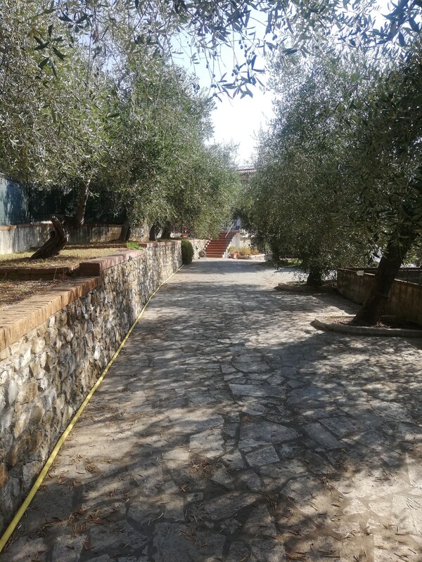 Dali Holiday Home 5 Minutes From The Sea And The Cetacean Sanctuary - Andora