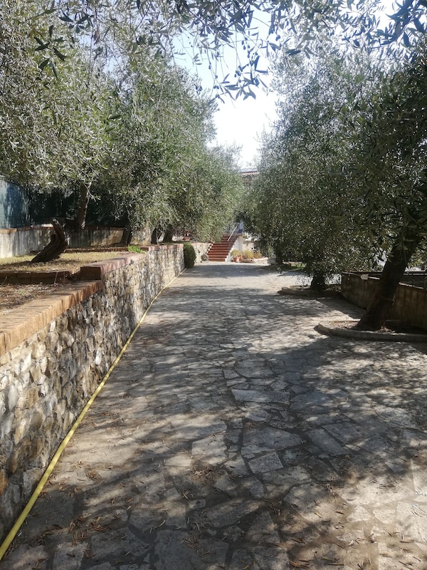Dali Holiday Home 5 Minutes From The Sea And The Cetacean Sanctuary - Andora