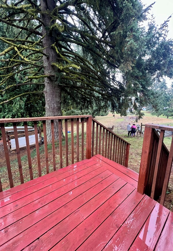 Charming Cottage In Gorgeous St Helens\nfrogs Hollow Is Family & Pet Friendly - Oregon