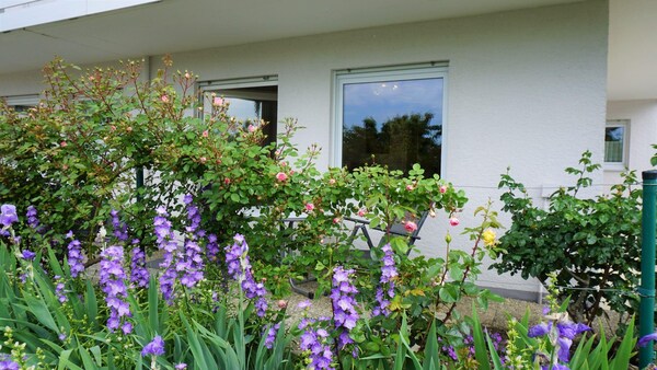 Vacation Apartment Silvaner-laube B - Daisendorf