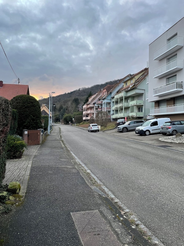 Appartement Cosy Chez Sol'ange - Wissembourg