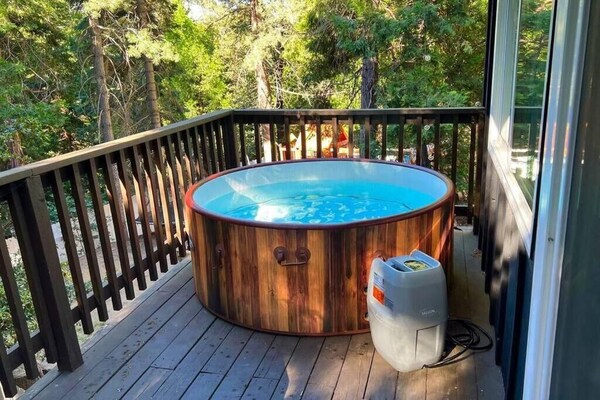 Beautiful Renovated Cozy Forest Home In Crestline With Hot Tub - San Bernardino, CA