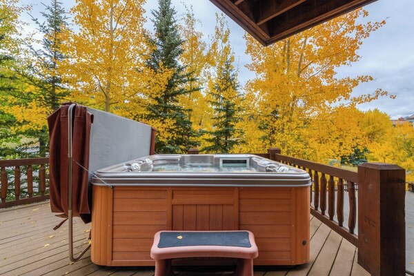 See Forever Cabin 110- Beautiful Three Bedroom Cabin With Marvelous Views - Silverton, CO