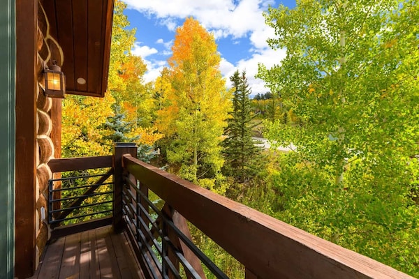 See Forever Cabin 101- Beautiful Cabin With Unapparelled Sunsets And Style - Ouray, CO