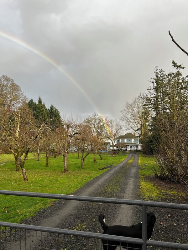 Charming 1-bedroom Apartment On 3 Acres In Rural Woodburn, Near I-5 & Shopping - Silverton, OR