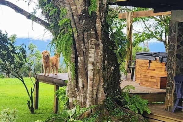Luxury Ecolodge - Panama City