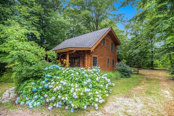 Cozy Cabin Getaway With Private Hot Tub & Lake Access In Saugatuck! - Holland, MI