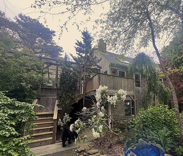 Spacious Home With Private Heated Pool (2389) - Provincetown, MA