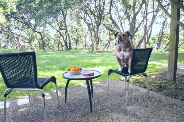 Pet-friendly Room W/ Patio | Scenic Resort W/ Mountain Views - Santa Cruz, CA
