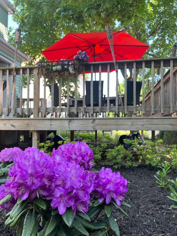 Charming Room In A House With Aminities In Lovely Boston - Quincy, MA
