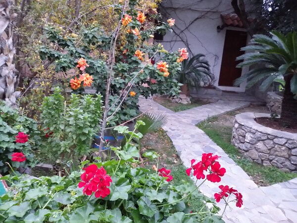 Cottage 'Olive Tree  2' With Sea View, Private Terrace And Wi-fi - Crete