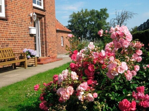 Vacation Home For 6 Guests With 100m² In Fehmarn Ot Strukkamp (268290) - Fehmarn