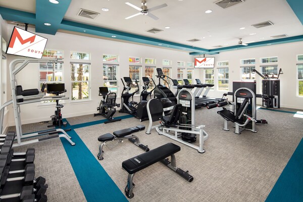 H4n M South - 1 Bedroom Apartment In South Tampa - Tampa Airport (TPA)