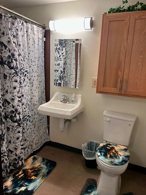 Cozy Historic Studio In Wonderful Seattle With Wifi And Ac - Seattle, WA