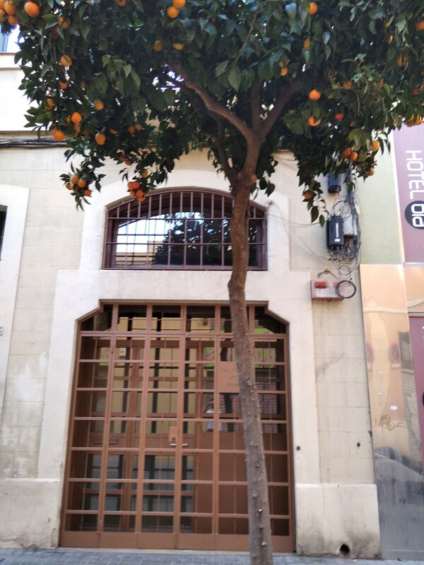 Monument, Large, Cosy Apartment - La Barceloneta