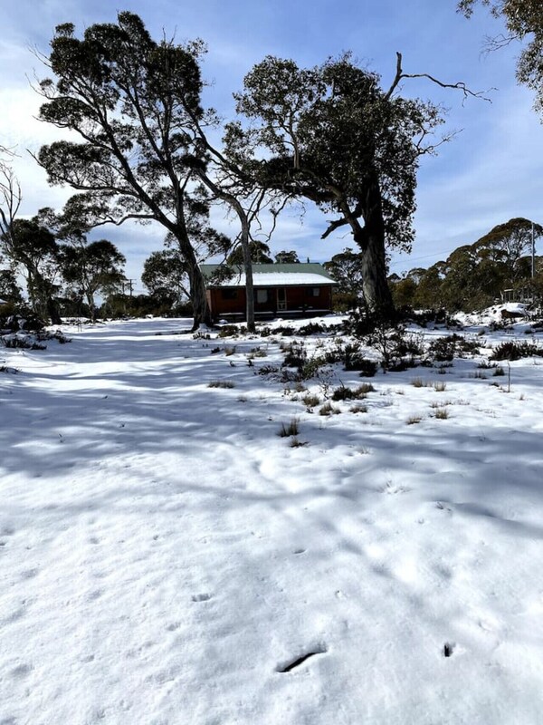 Bulls Tavern Cabin  Cozy Lakeside Escape In Miena, Tasmania - Great Lake, Central Plateau