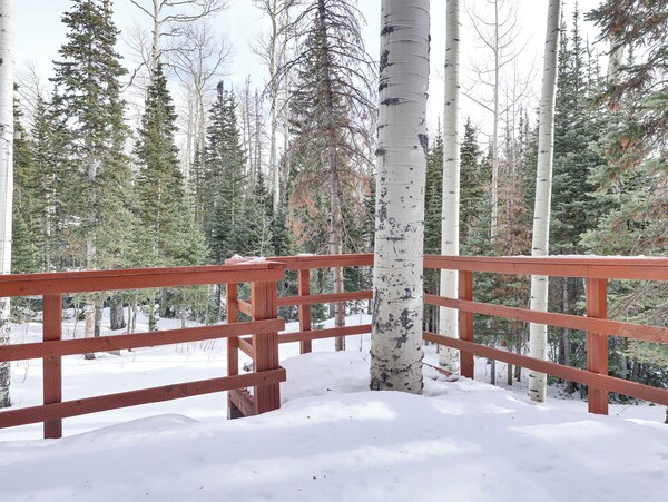 Evergreen Summit Cabin - Brian Head, UT